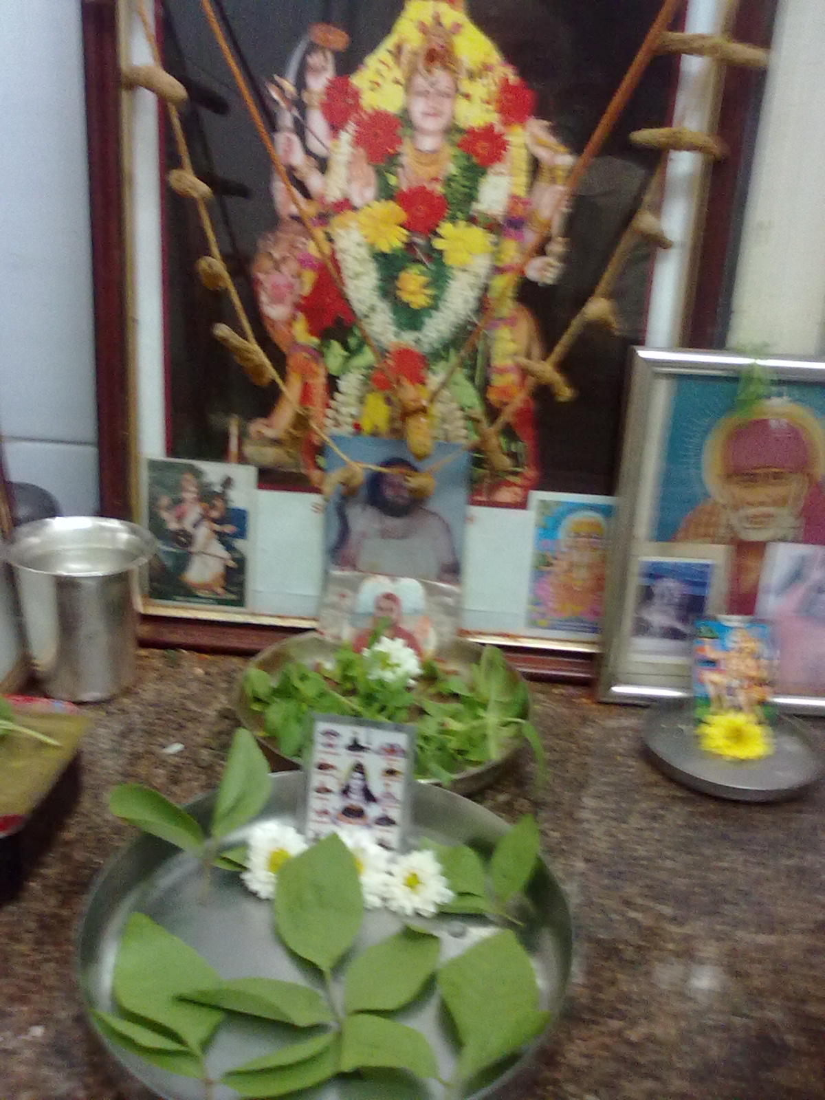 Prakruti -Mother Nature: The Bael Tree -or Bilwa Tree (Aegle marmelos ...