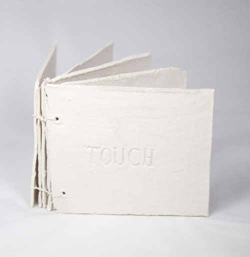 Precious Little Birdy: Paper Clay Book