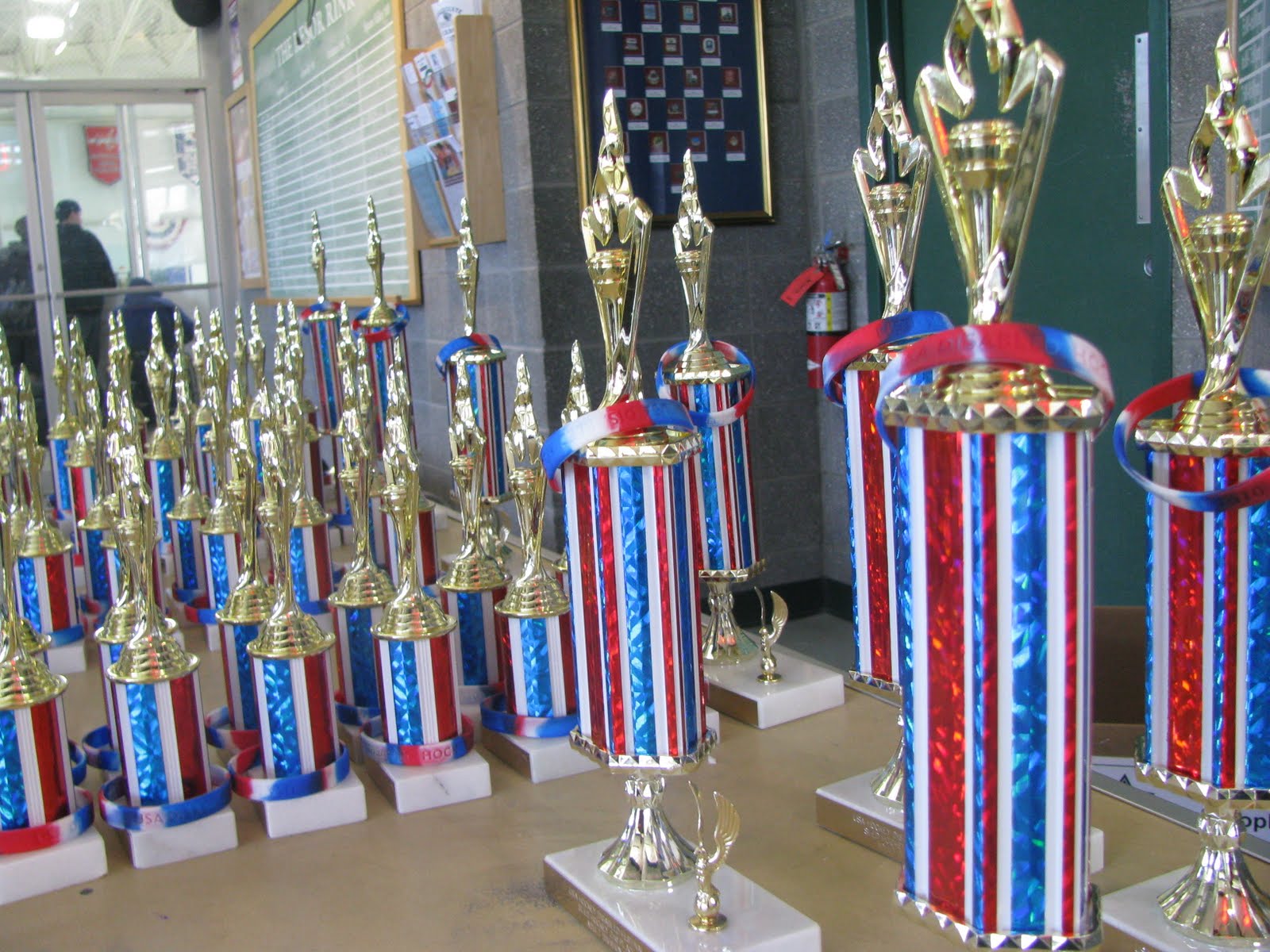 USA Hockey Disabled Festival