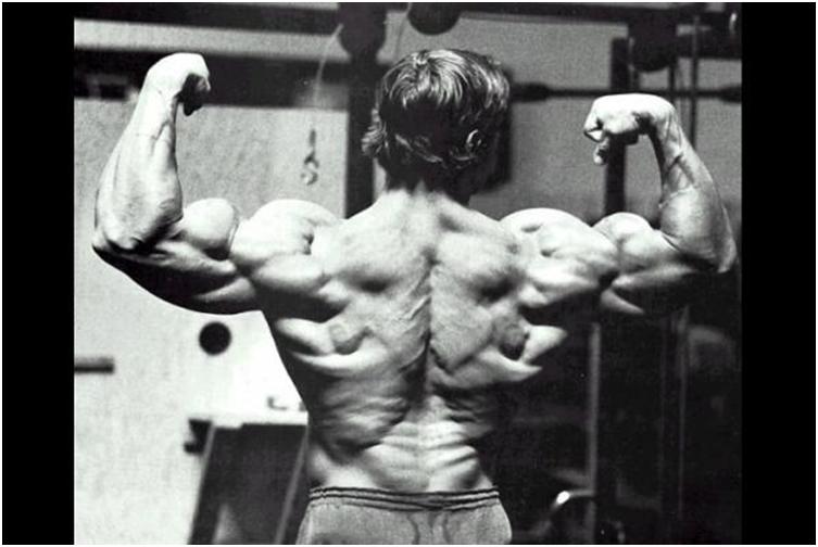 Gym HoT!!: Back Workout