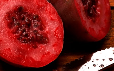 LABGOURMET: Xoconostle, esencia cactácea