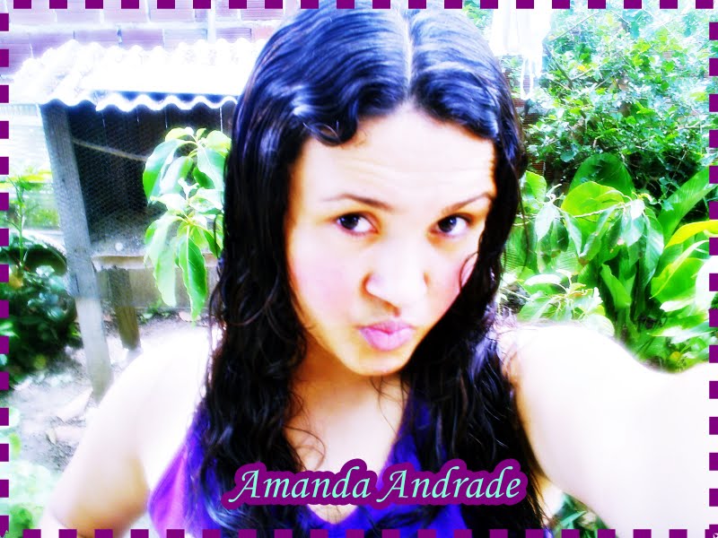 O Diario de Amanda Andrade