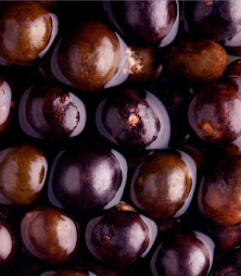 The Acai Room: What is Acai