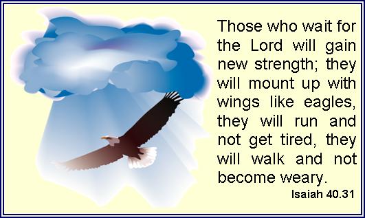 Share My Journey: Isaiah 40.31: ... they will mount up with wings like ...