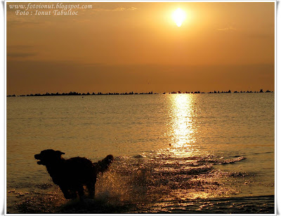 Ionut Tabultoc - Blog: GALERIE FOTO / Rasarit