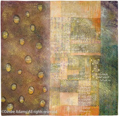Terry Jarrard-Dimond Studio 24-7: Deidre Adams - Finding Beauty in the ...