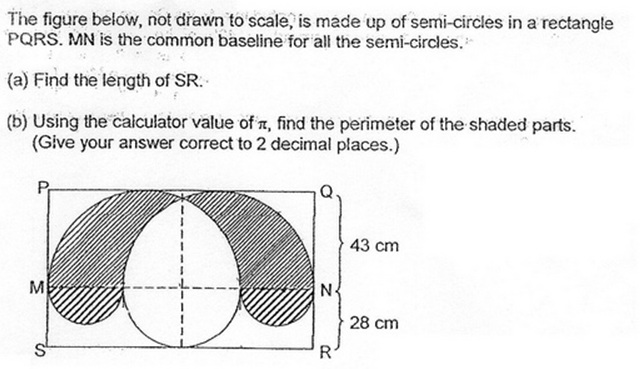 PSLE: Circle P6 2010 SA2 SCGS P2 Q18