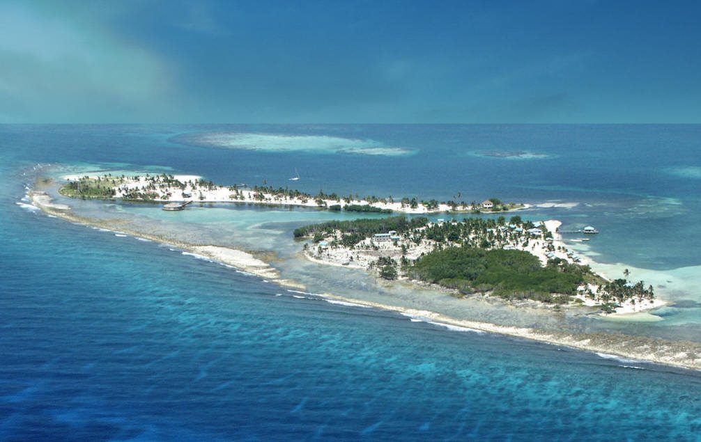 MARINE BIOLOGY - SHINE: Coral Reefs Assignment - Chapter 14, Part I