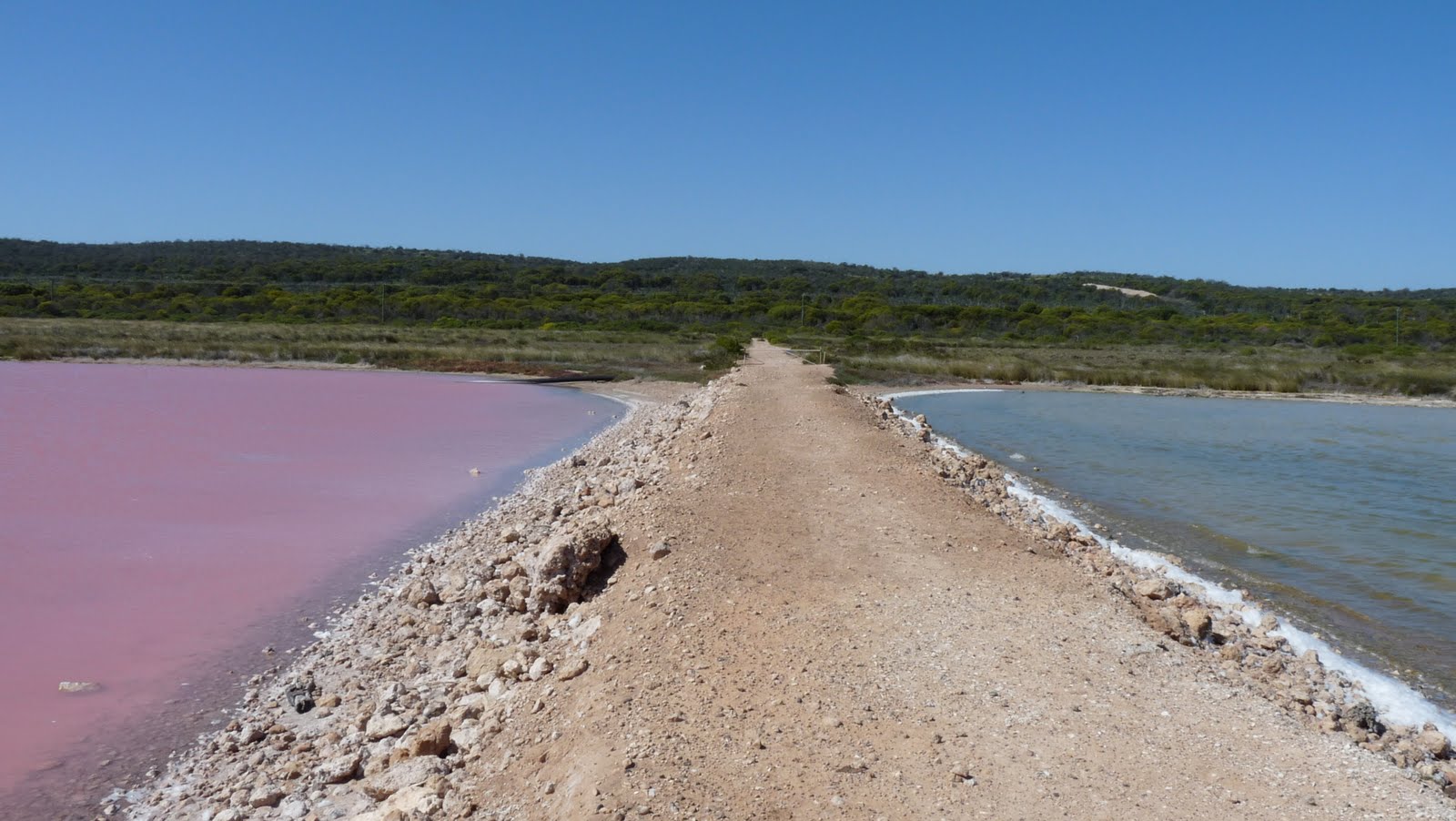 Garry and Rani Appleby: Pink Lake, south of Kalbarri, WA