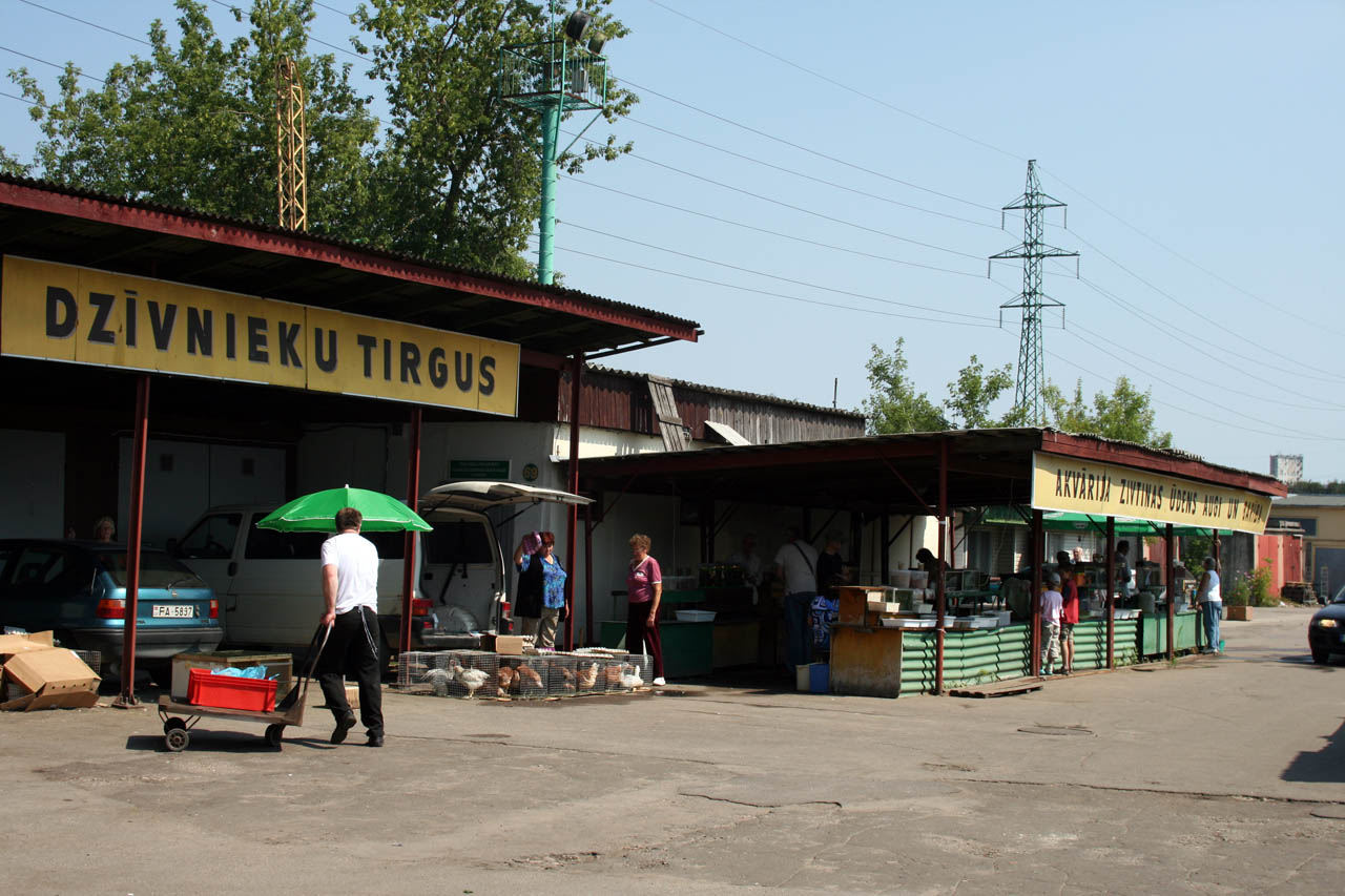 Dzīvnieku Tirgus - Riga Photos
