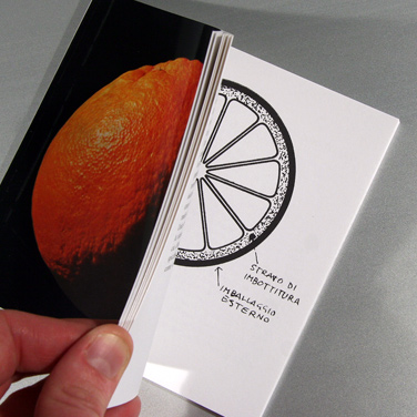 ANGELA MESSINA design allieva del corso A prof. CECILIA POLIDORI a.a ...