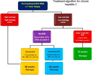Hepatitis C virus genotype 4 therapy: progress and challenges