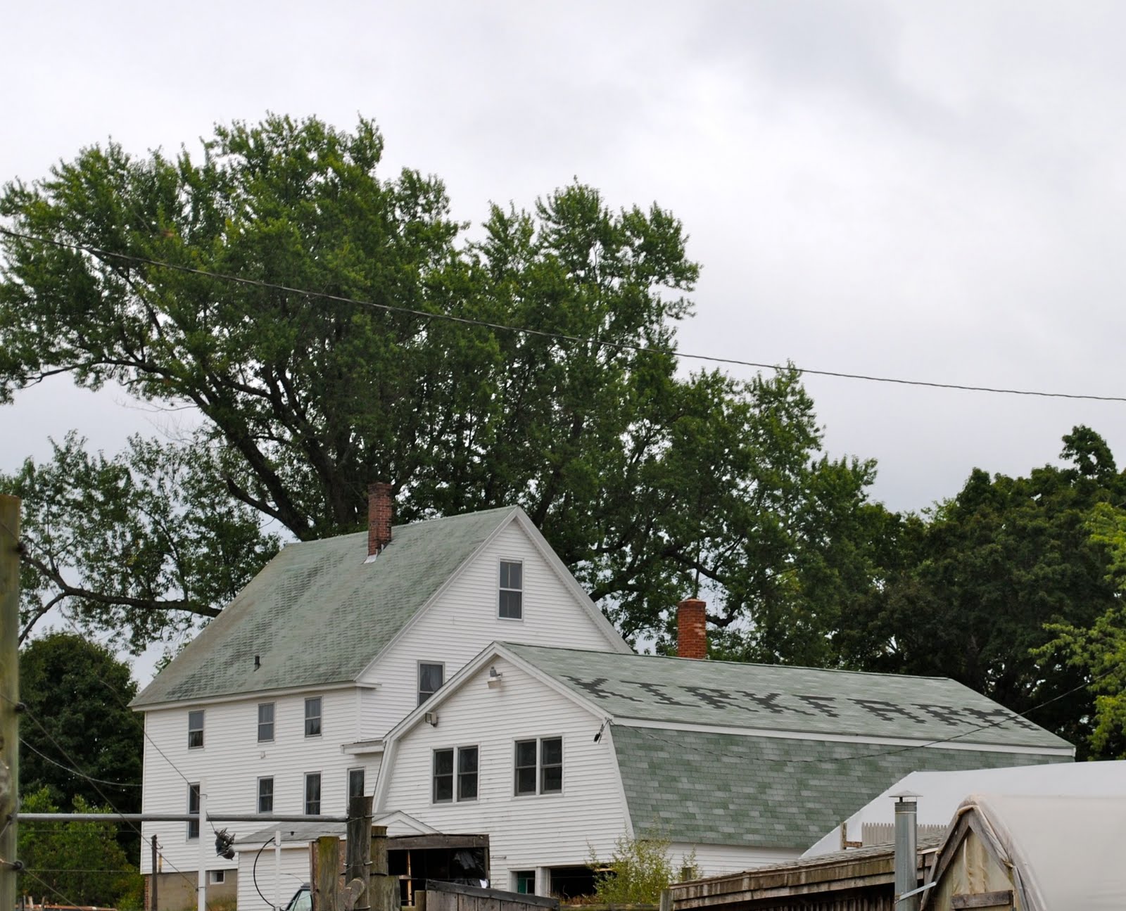 The CSA Kitchen: Kirk Farm: "Old Time Organic Farmer"