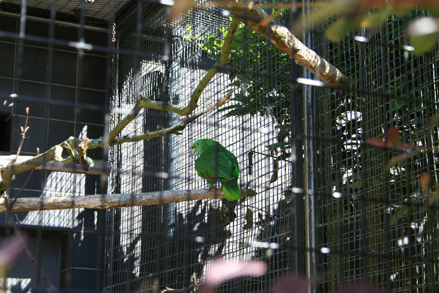 The Leeds Castle in Maidstone, Kent - The Globe Trotter