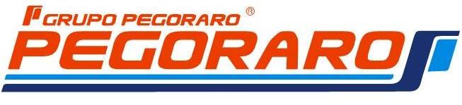 Grupo Pegoraro empregos