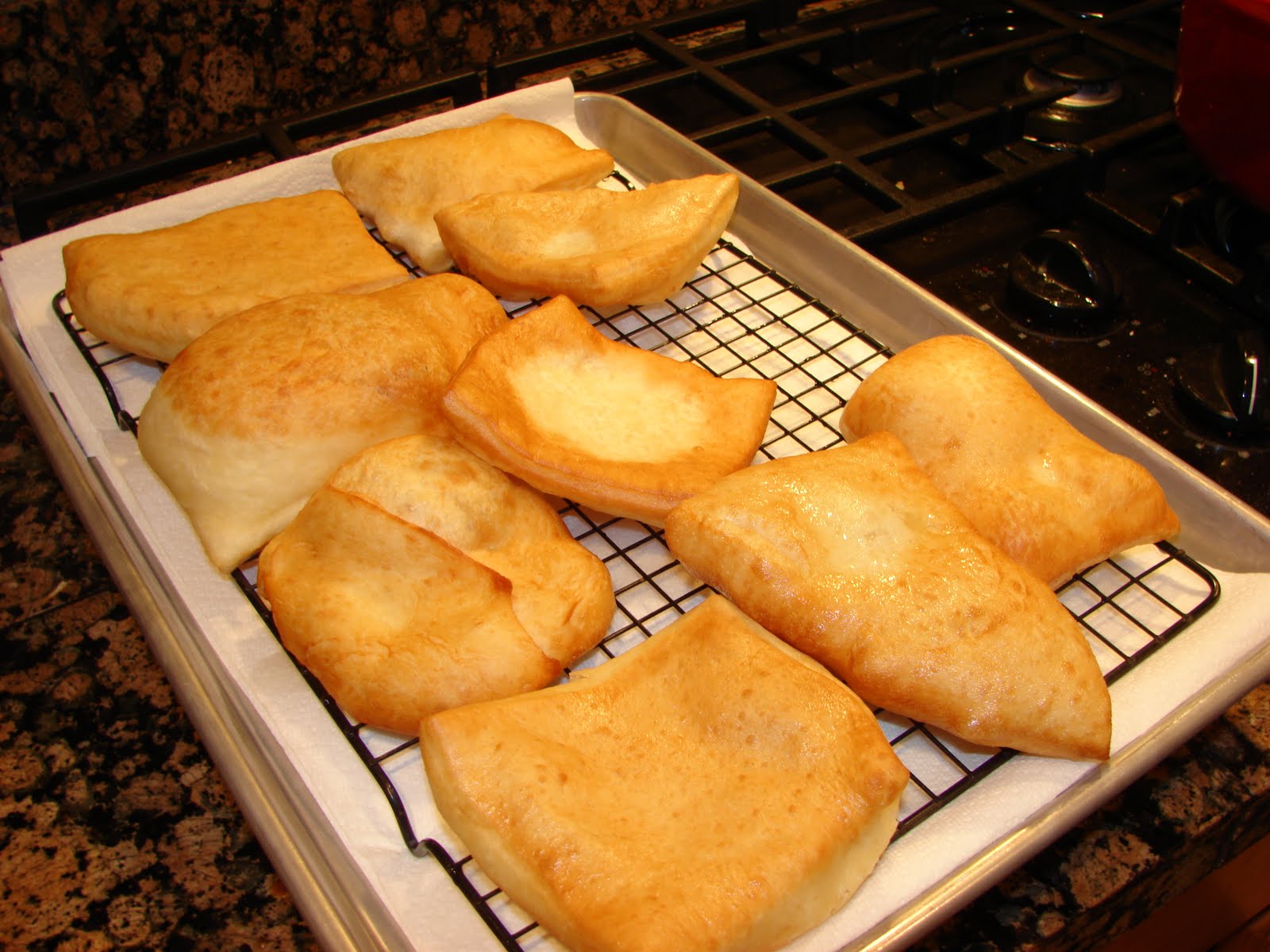A Bear in the Kitchen: Navajo Tacos