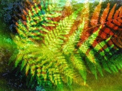 Art Quill Studio: Selected Disperse Dye ArtCloth WorksArtist: Marie ...