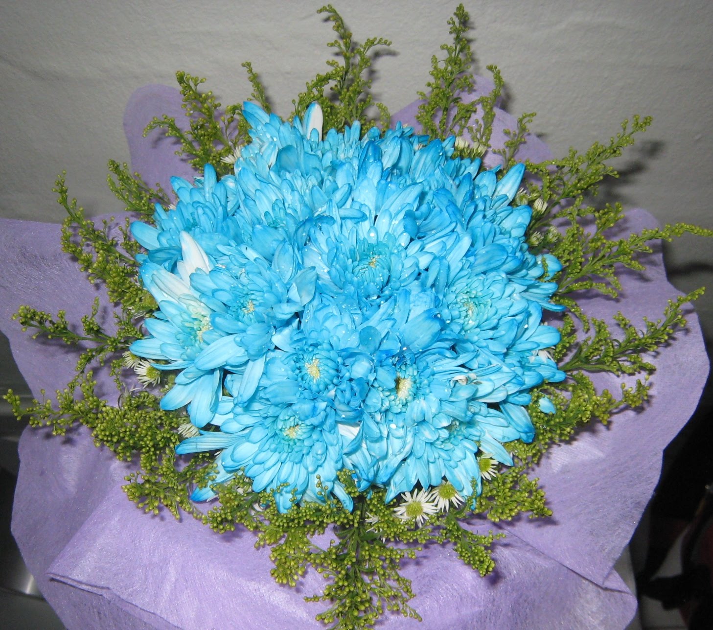 Move with flowers...: Doraemon and flowers...