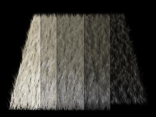 Shahbir's Artwork and Other Things: Unit 3: Fur Textures part 1