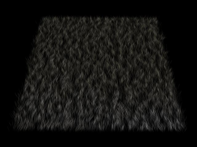 Shahbir's Artwork and Other Things: Unit 3: Fur Textures part 1