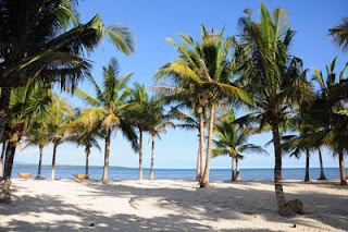 Catanauan Portal News & Articles: CATANAUAN COVE - A hidden paradise ...