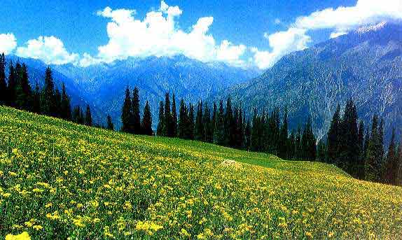 Travel India Tourism and India Tour Packages: Hill Stations in Jammu ...
