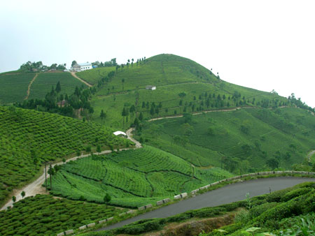 Travel India Tourism and India Tour Packages: Horsley Hills Andhra Pradsh
