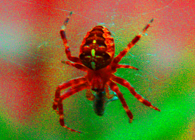 The Museum of SuperNatural History™: “Space Invader” Reptile DNA ...