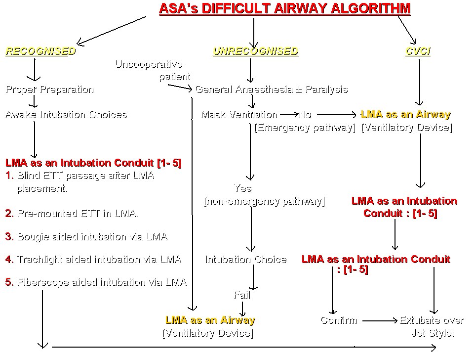 ANAESTHESIA TODAY: THE ROLE OF CLASSIC LMA IN DIFFICULT AIRWAY.