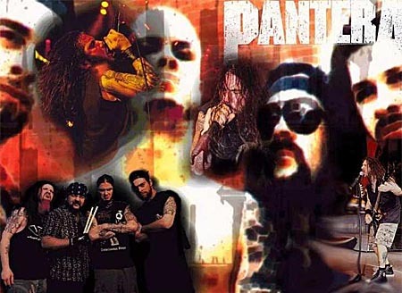 Imágenes de pantera - Imagui