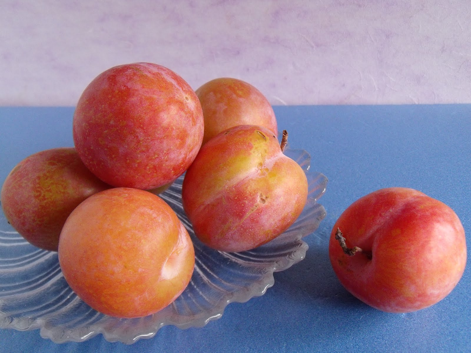 Tang's Art Journal: 澳洲十月太阳李 Plum－October Sun（Australia）