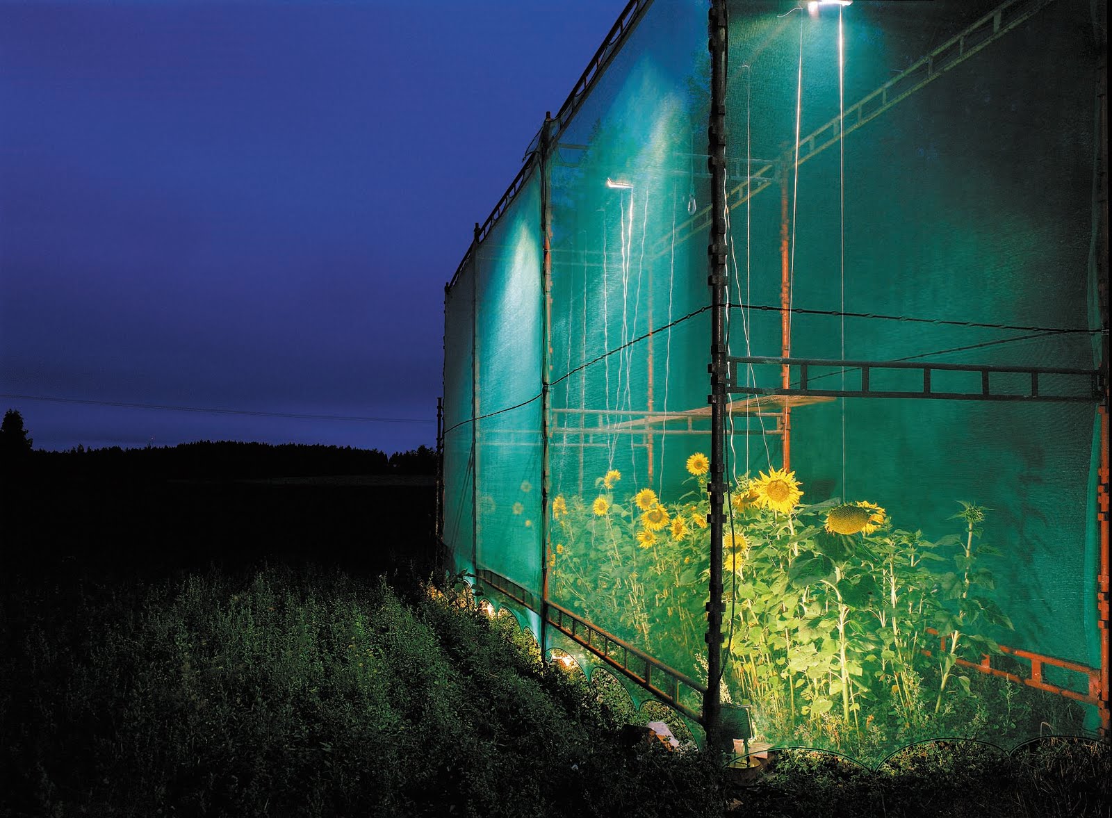 boiteaoutils: # Restoration by Ilkka Halso