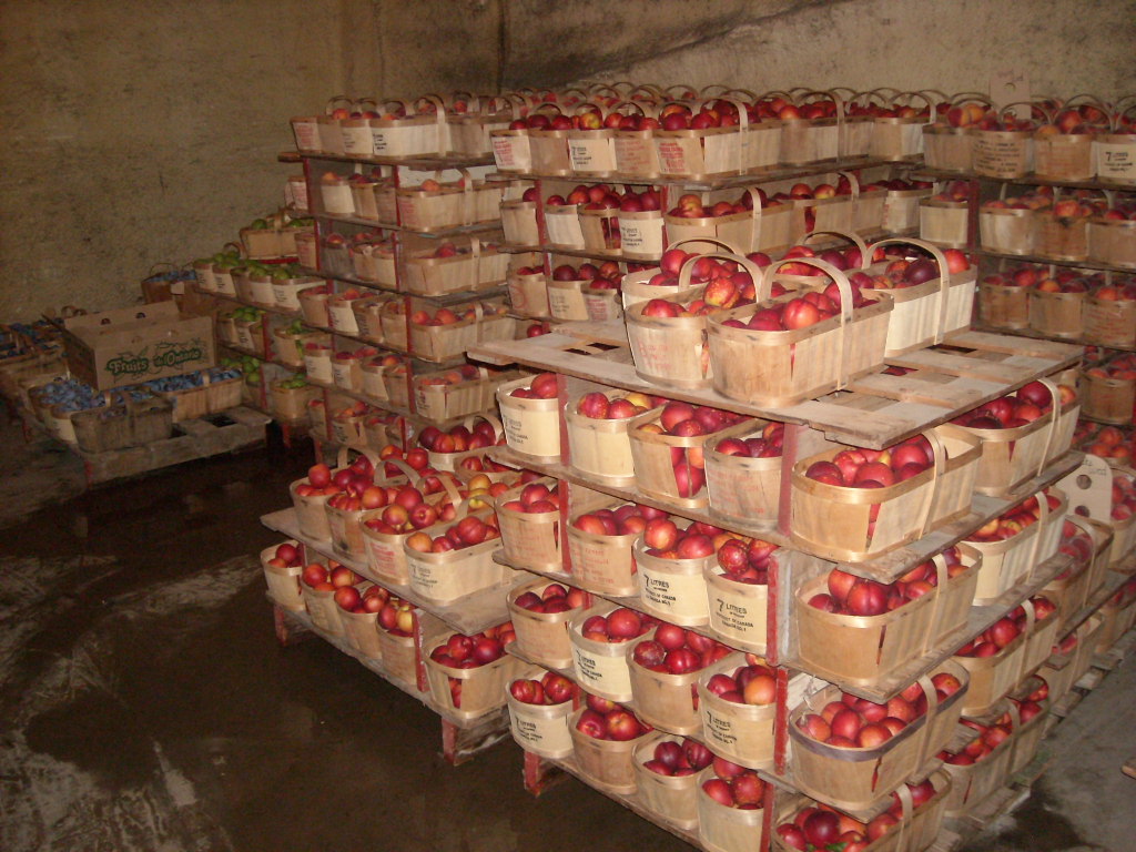 Thiessen Farms: Beating the heat!