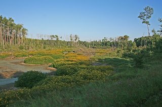 Photography of Ralph Fuchs of St. Albert, Alberta: Edmonton Countryside