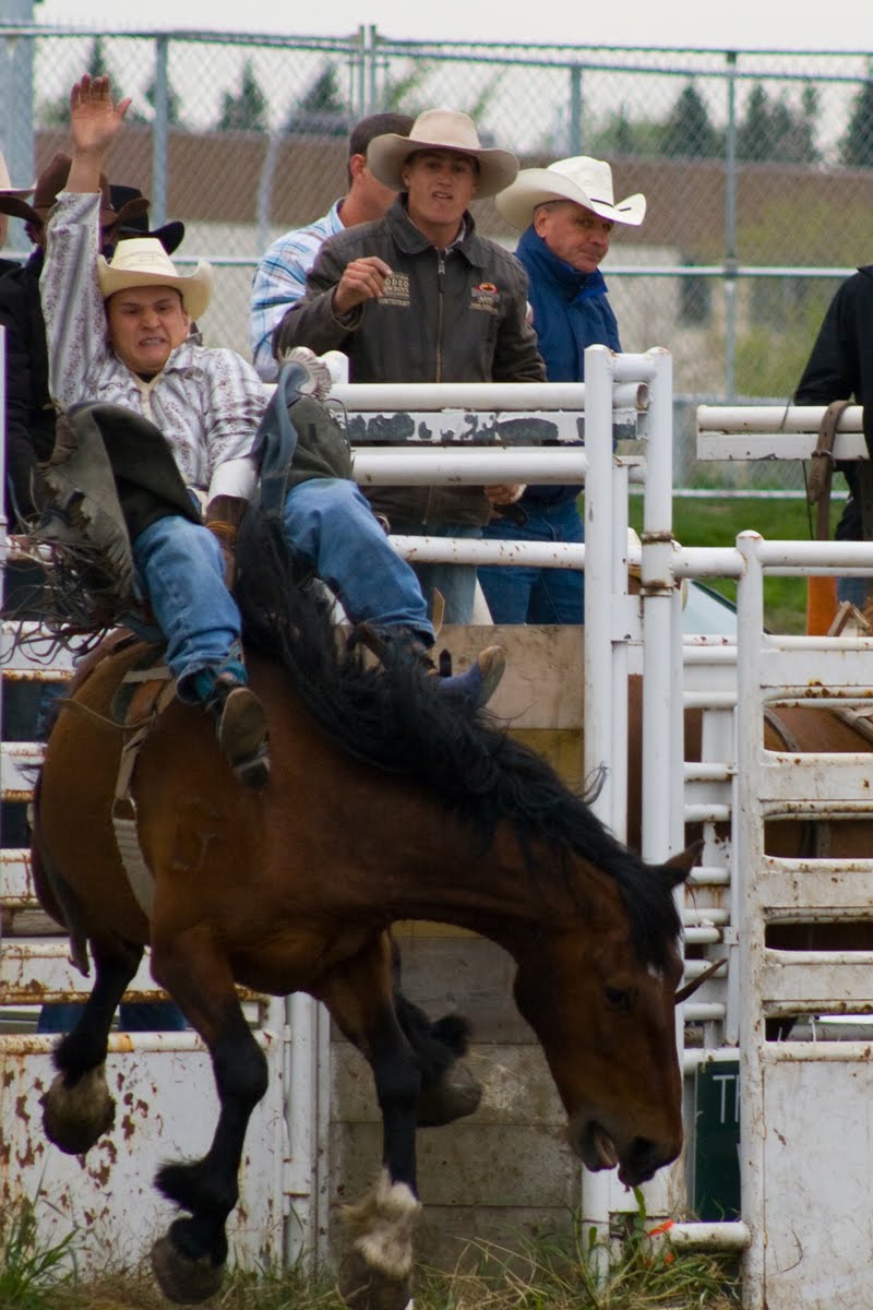Photography of Ralph Fuchs of St. Albert, Alberta: St. Albert Rodeo