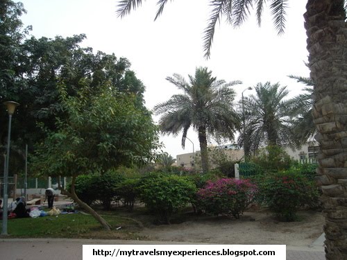 My Travels,My Experiences: Fintas Park, Mahboula, Q8