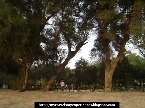 My Travels,My Experiences: Fintas Park, Mahboula, Q8