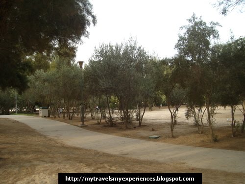 My Travels,My Experiences: Fintas Park, Mahboula, Q8