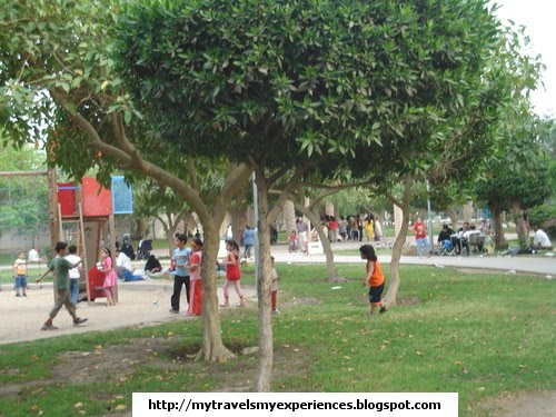 My Travels,My Experiences: Fintas Park, Mahboula, Q8