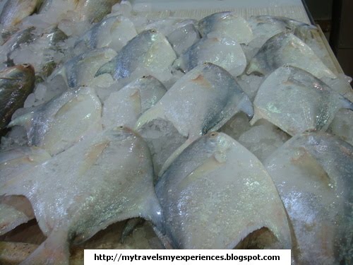 My Travels,My Experiences: The National Fish of Q8