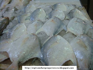 My Travels,My Experiences: The National Fish of Q8