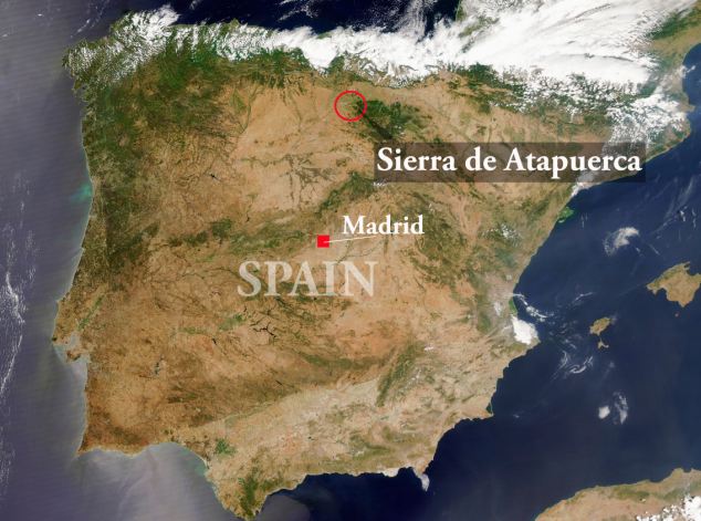 El Blog De Tuico: ATAPUERCA