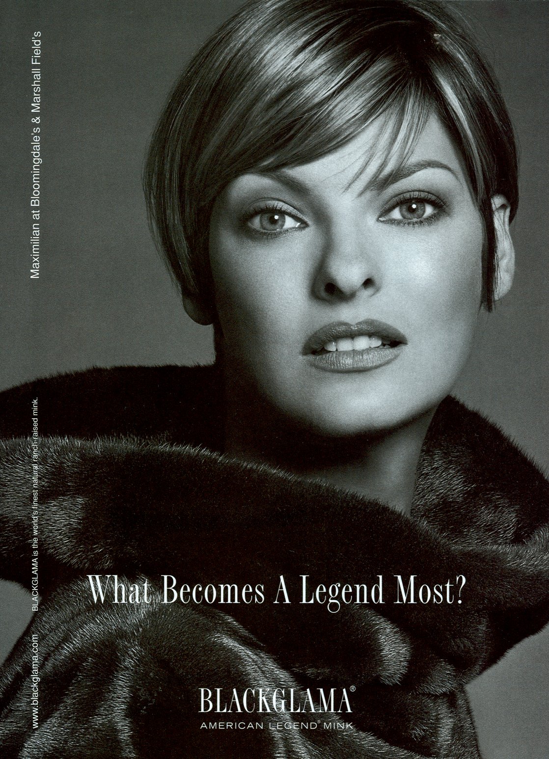 Fashion: [Female Celebrity Portraits] Model: Linda Evangelista