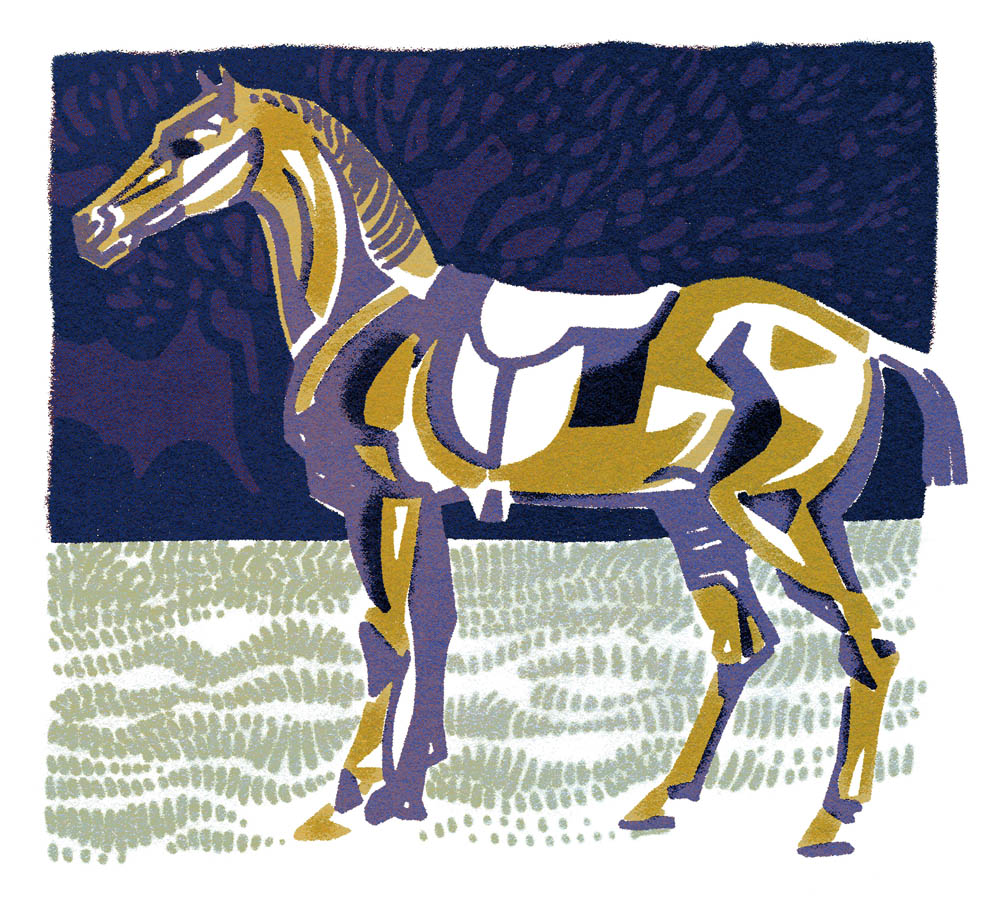 Martin Côté illustrations: Rider