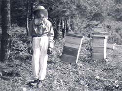 Motz Notes: Bee Keeping Motz Style!