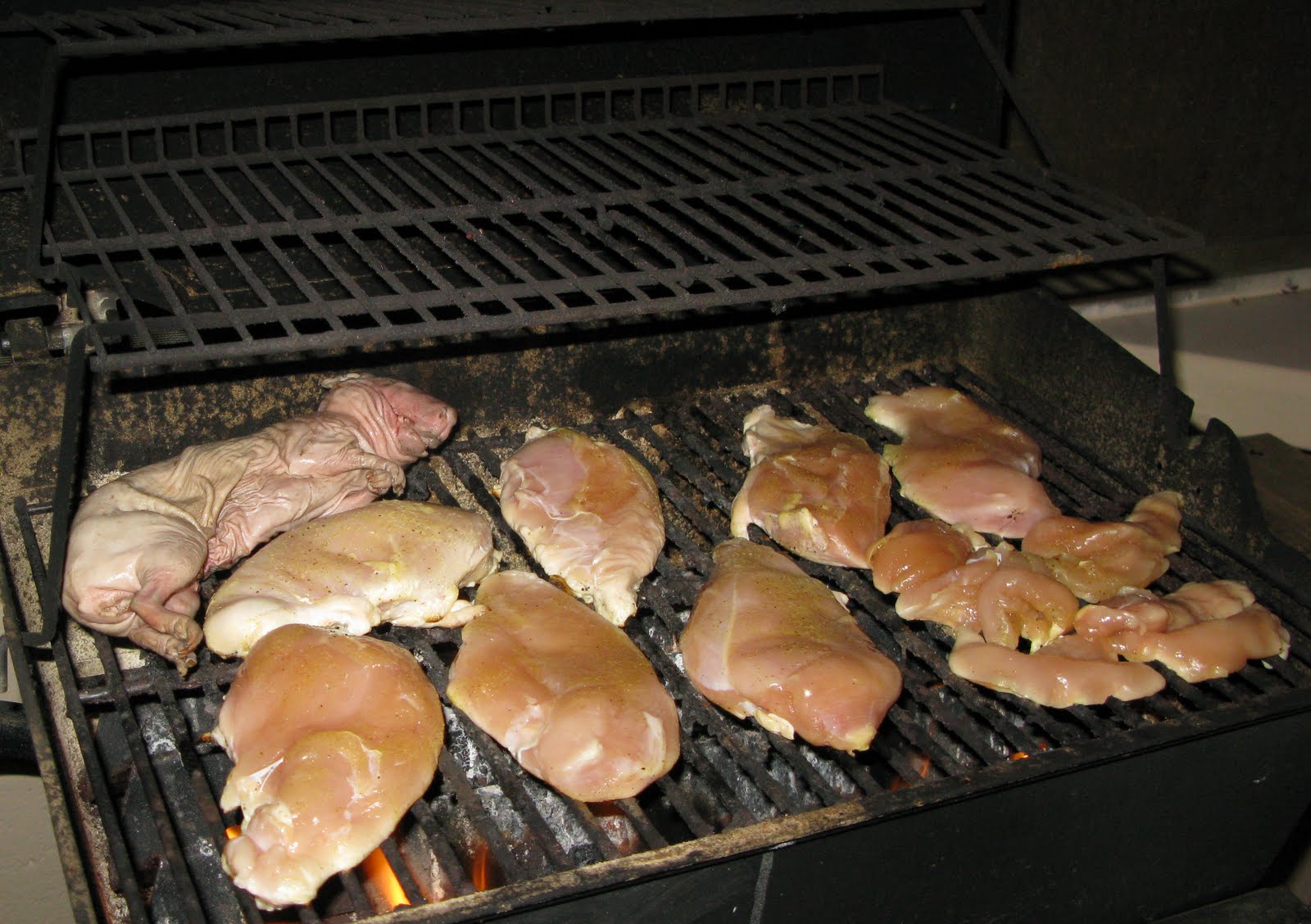 Joe and Tracy in Ecuador: Adventures in Cuy