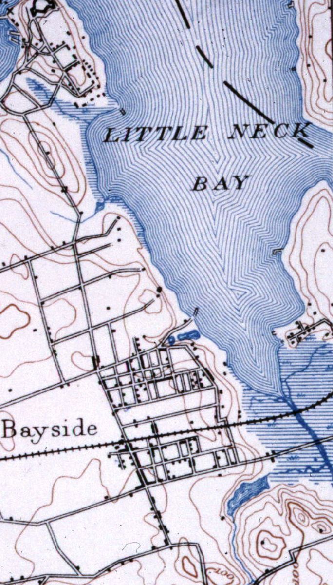 Alley Pond Park Wetland Nature Preserve: Tidal Marshes of the Alley