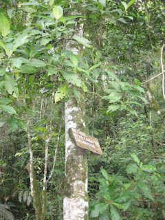 reserva el oasis: jigua