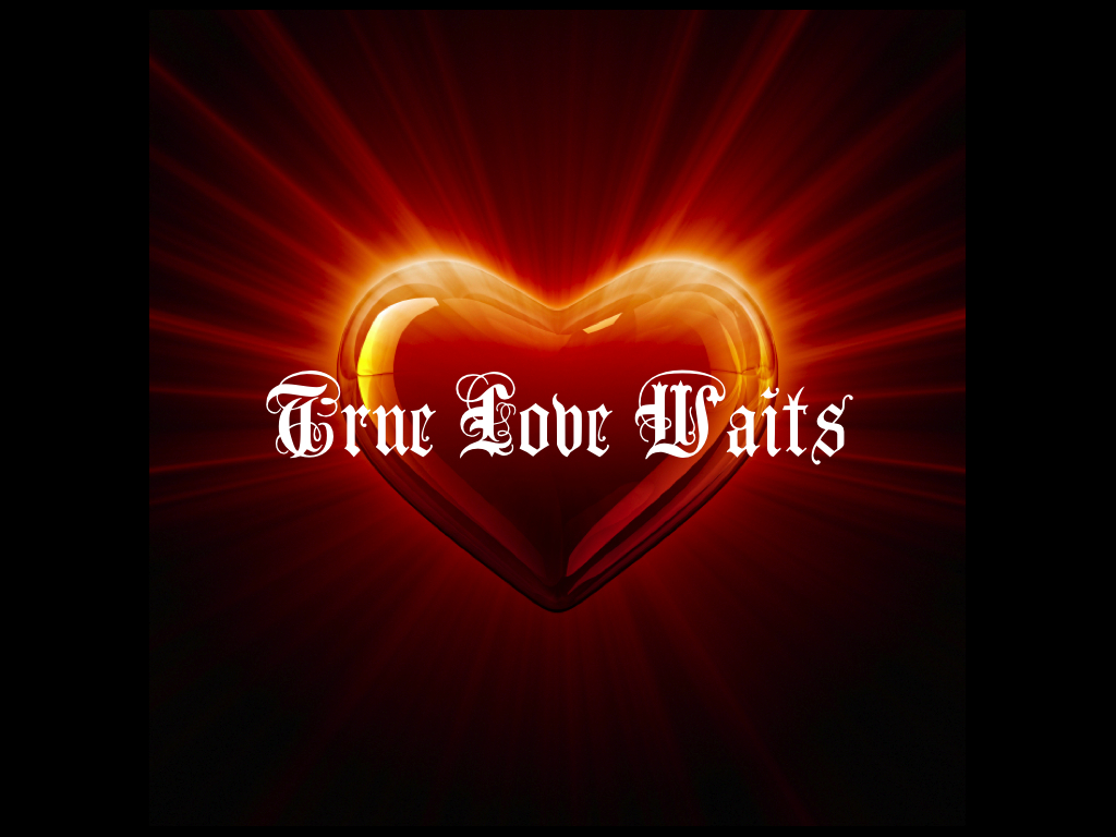 True Love Waits Quotes. QuotesGram