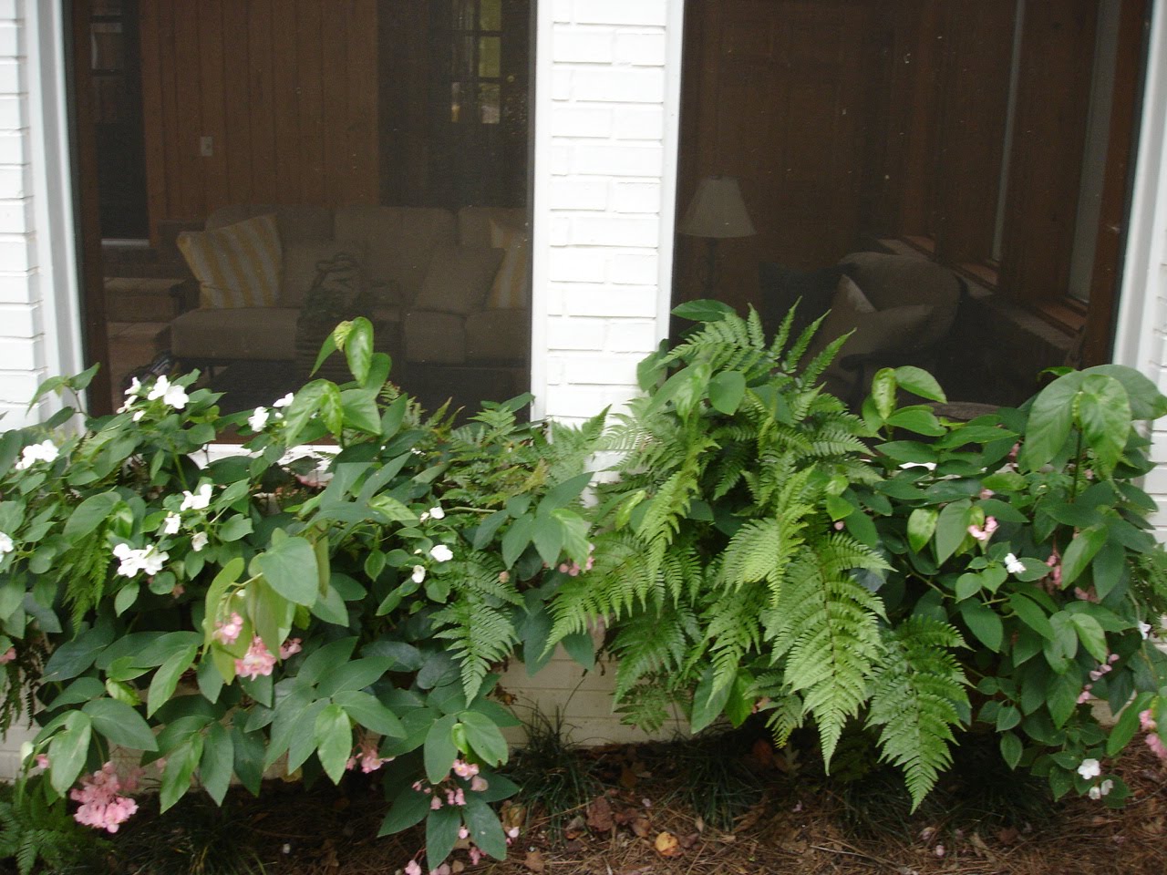 Container Gardening: A Love for Container Gardening